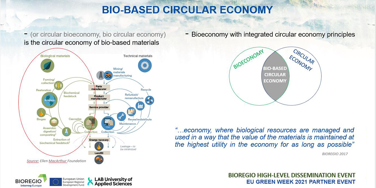 Bio- and Circular Economies – Complementary Concepts - LAB Focus