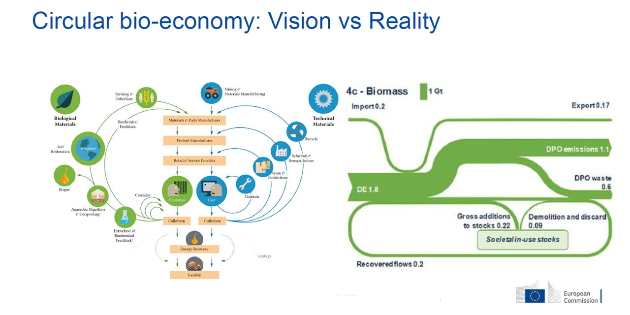 Circular bioeconomy: sustainable growth while saving the environment - LAB Focus