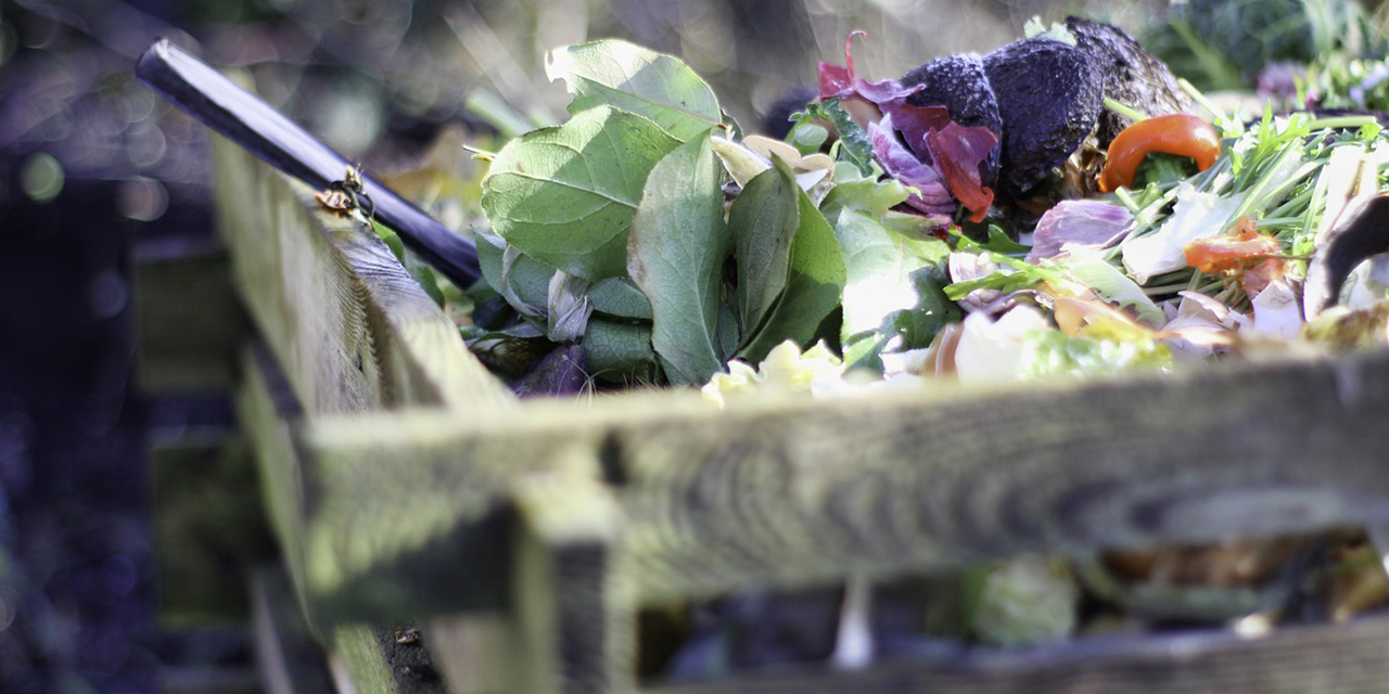 Focusing on Biowaste – Collection and Valorisation - LAB Focus